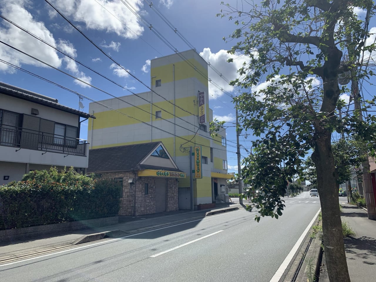 【加古川市】はちゅう類のすごい世界。専門店「RORORO（ロロロ）」がオープンしています。 | 号外NET 加古川市・高砂市