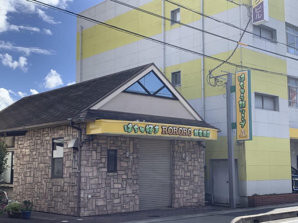 【加古川市】はちゅう類のすごい世界。専門店「RORORO（ロロロ）」がオープンしています。 | 号外NET 加古川市・高砂市